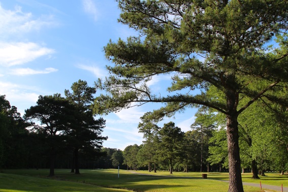 Stumpy Lake Golf Course Attraction - Virginia Beach, VA