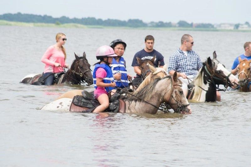 Virginia Beach Horseback Attraction - Virginia Beach, VA