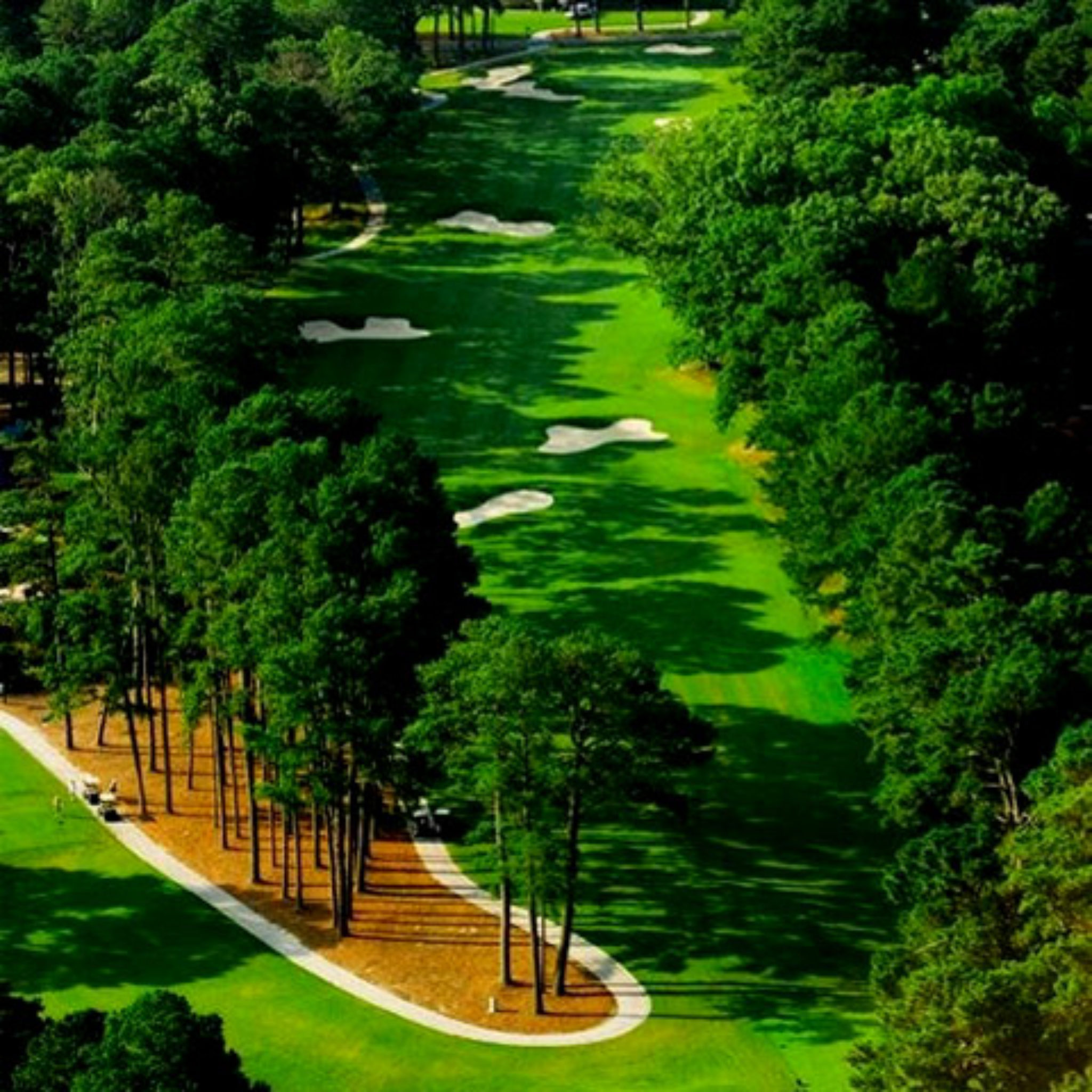 Golf and Golf Courses in Virginia Beach, VA