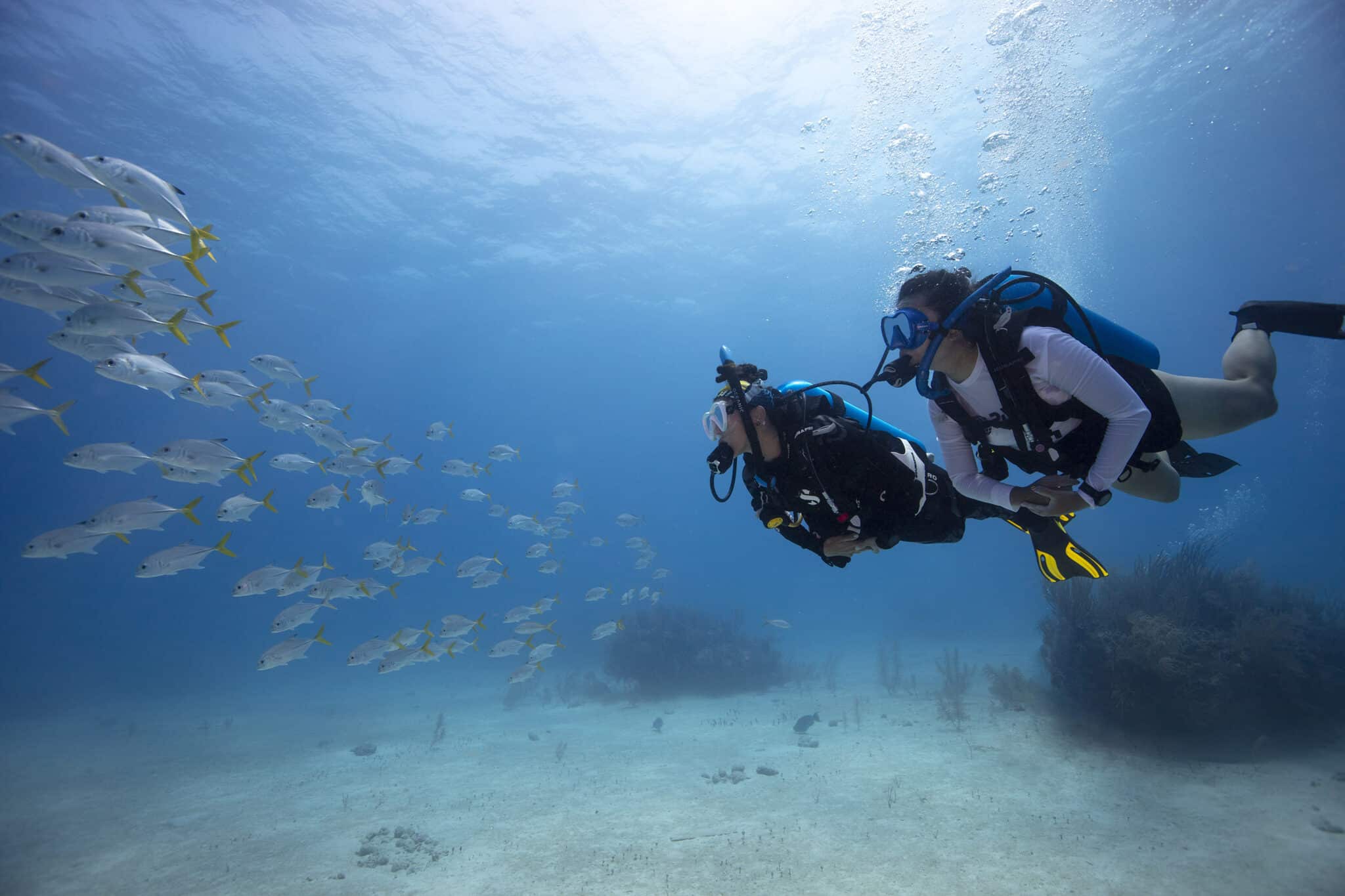 What to Expect from an Underwater Adventure - Virginia Beach, VA